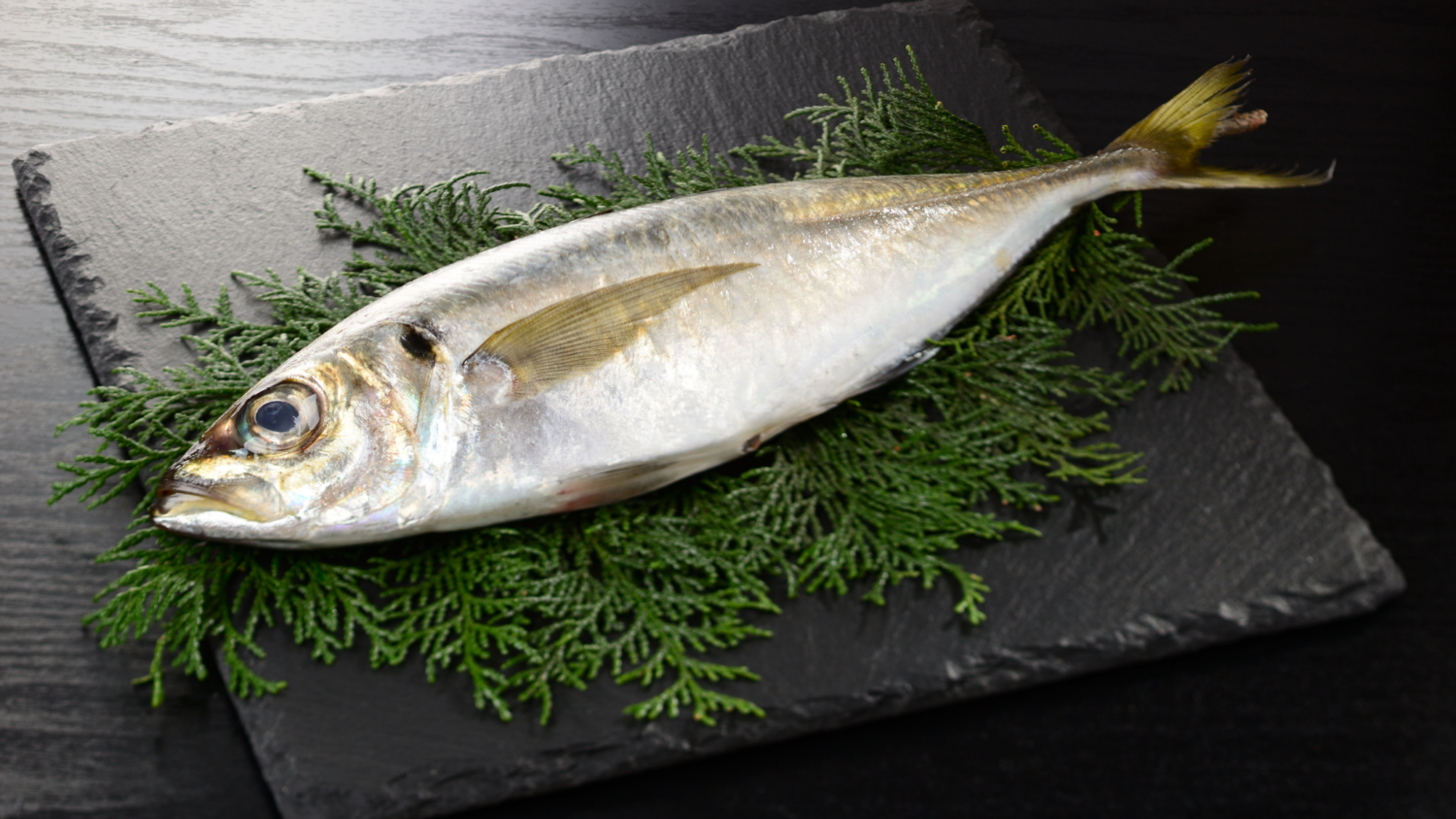 Les poissons méconnus #1 : Le Chinchard - monbeaupoisson.fr
